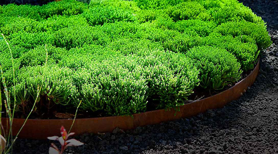 Redcor - BlueScope Distribution